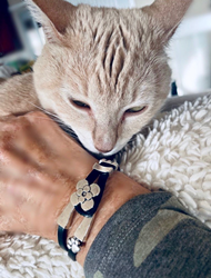 ALEXIS HUNTER: ‘PAWS FOR THOUGHT’ COLLECTION – iWay Magazine