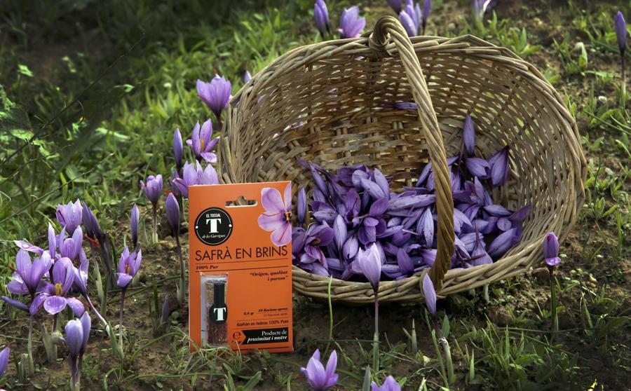 El Azafrán, un gran aliado gourmet en la cocina – iWay Magazine